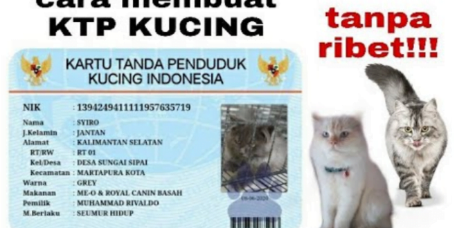 Cara Membuat KTP Kucing Online Gratis Untuk Anabul Kesayangan