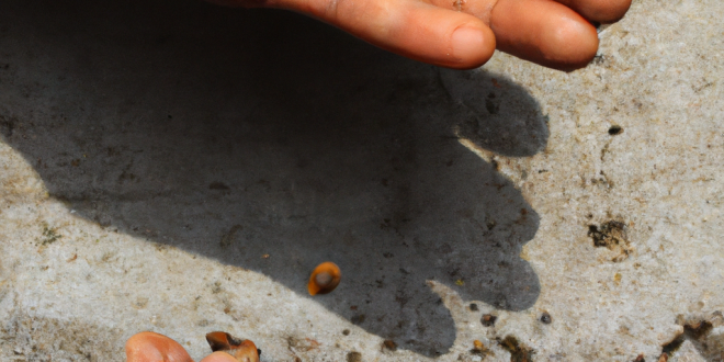 Jelaskan Cara Melakukan Gerakan Guling Lenting | Uspace.id