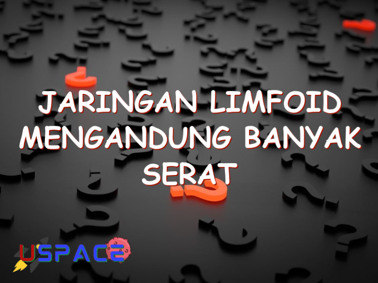 Jaringan Limfoid Mengandung Banyak Serat | Uspace.id