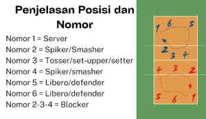 6 Posisi Pemain Bola Voli Yang Harus Dipahami | Uspace.id