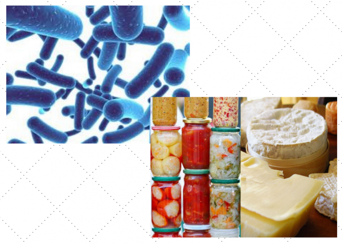 Proses Fermentasi Dalam Bidang Teknologi Pangan | Uspace.id
