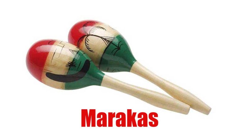 Alat Musik Ritmis Marakas: Sejarah, Fungsi, Dan Cara Memainkan | Uspace.id